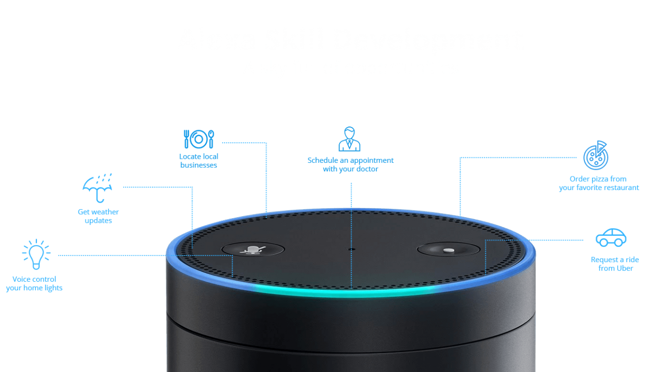 Alexa Skills Development | Amazon Alexa Skills Development