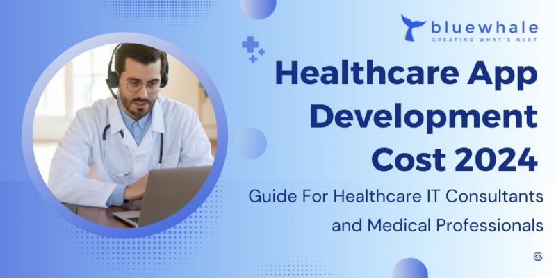 Healthcare App Dev Costs 2024: Guide for IT Consultants & Medical Pros