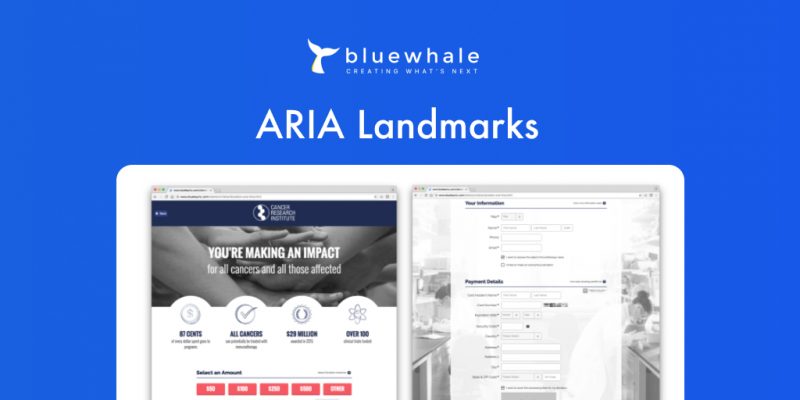 Top 10 Focus Areas to Boost CMS Accessibility Scores | Blue Whale Apps
